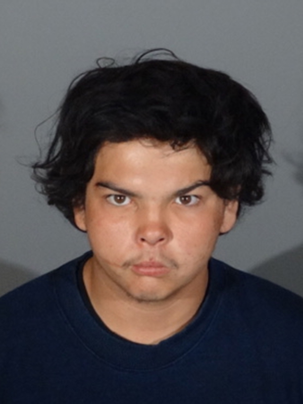 santamonica.gov - Murder Conviction